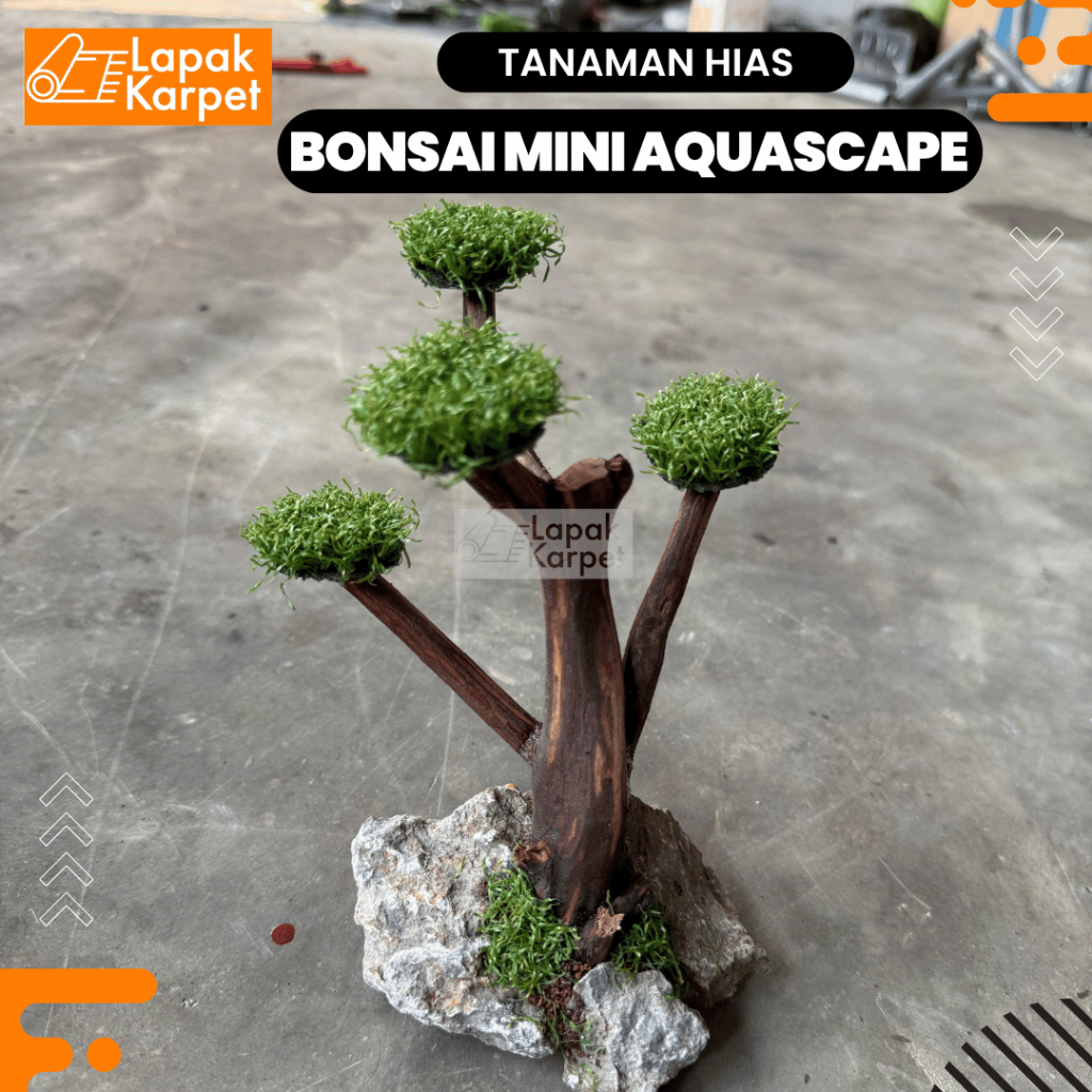 Jual Miniatur Tanaman Hias / Pohon Bonsai Mini Aquascape Tinggi 16 cm ...