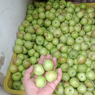 Jual Apel 1 Kg Terlengkap & Harga Terbaru Februari 2026 | Shopee Indonesia