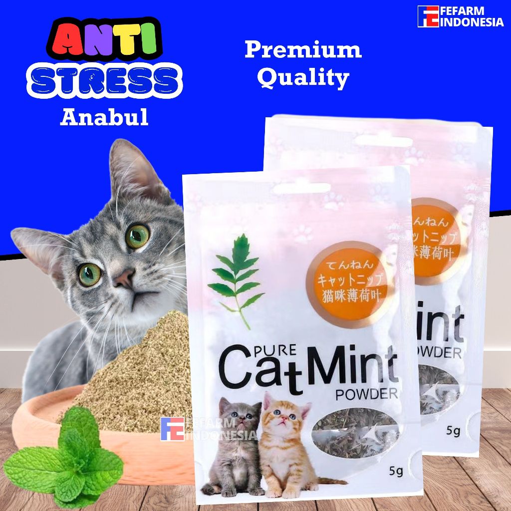 Jual Catnip catmint cat mint - PURE CATMINT POWDER - BIKIN FLY KUCING ...