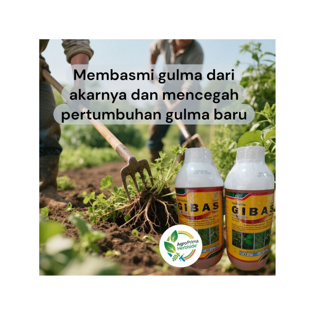 Jual Herbisida Gibas 240 SL Kemasan 1 Liter | Shopee Indonesia