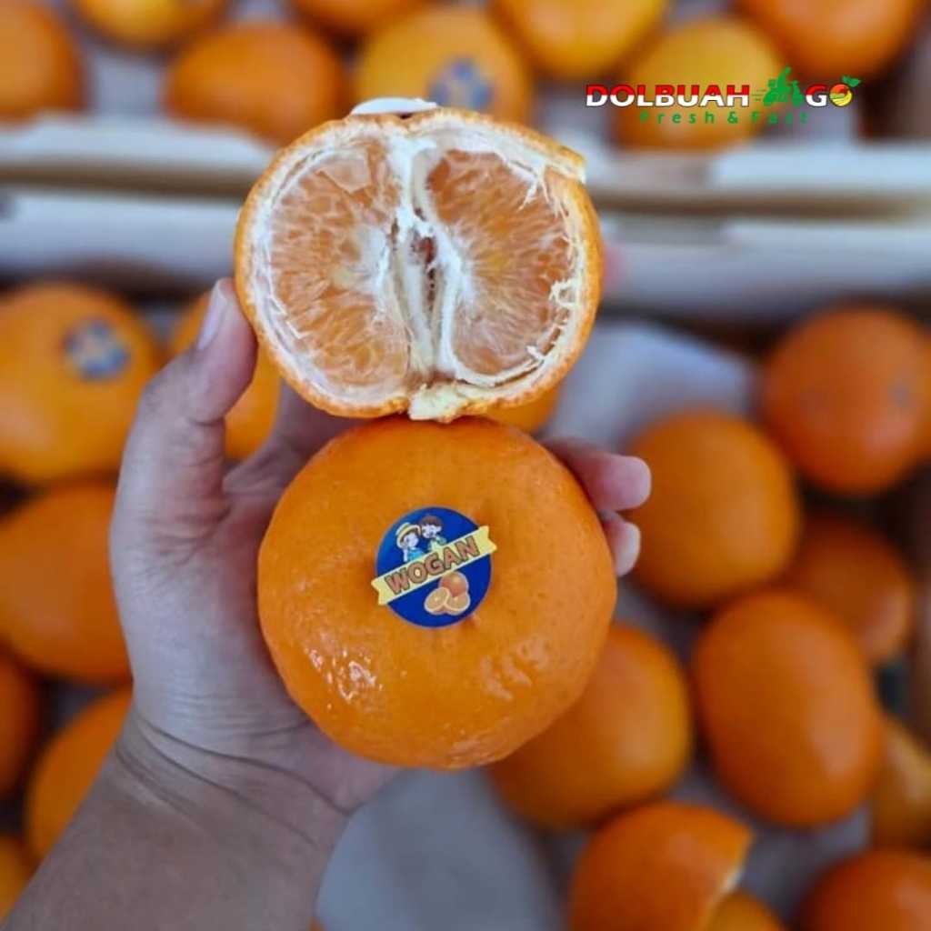 Jual Jeruk Wogan/Wokam Mandarin Manis Segar Fresh Premium - INSTAN ...