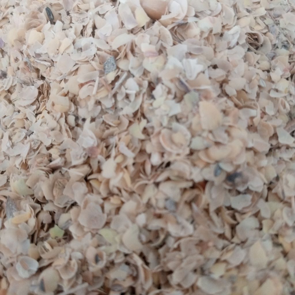 Jual kleci ( kulit ari kedelai ) 20kg untuk pakan ternak sapi kambing ...