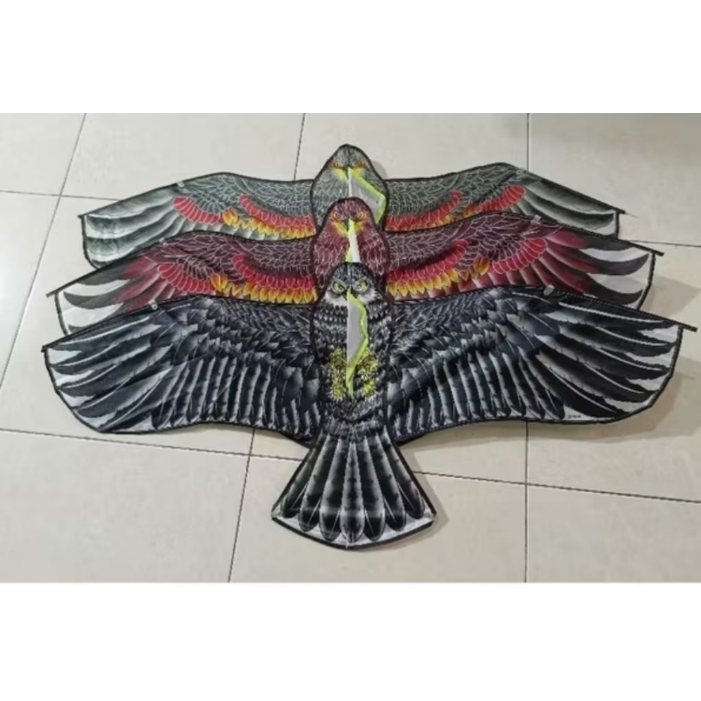 Jual Layangan burung elang | Shopee Indonesia