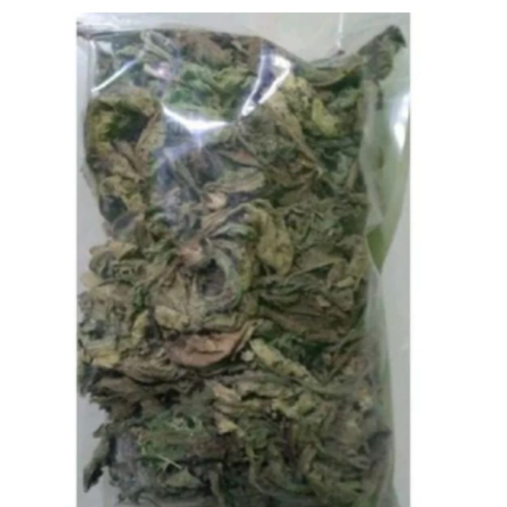 Jual daun tapak liman kering 100 gr | Shopee Indonesia