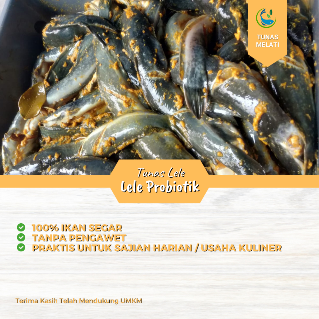Jual Ikan Lele Bumbu Marinasi Fresh - Siap Goreng 500/1000gr | Shopee ...