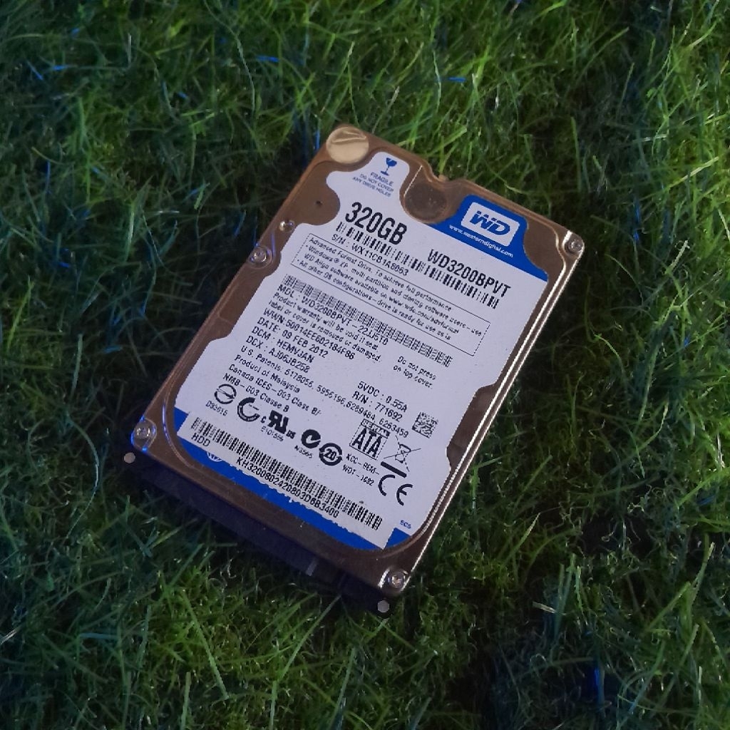 Jual HDD Internal Western Digital 320GB Second Kondisi Hidup Normal ...