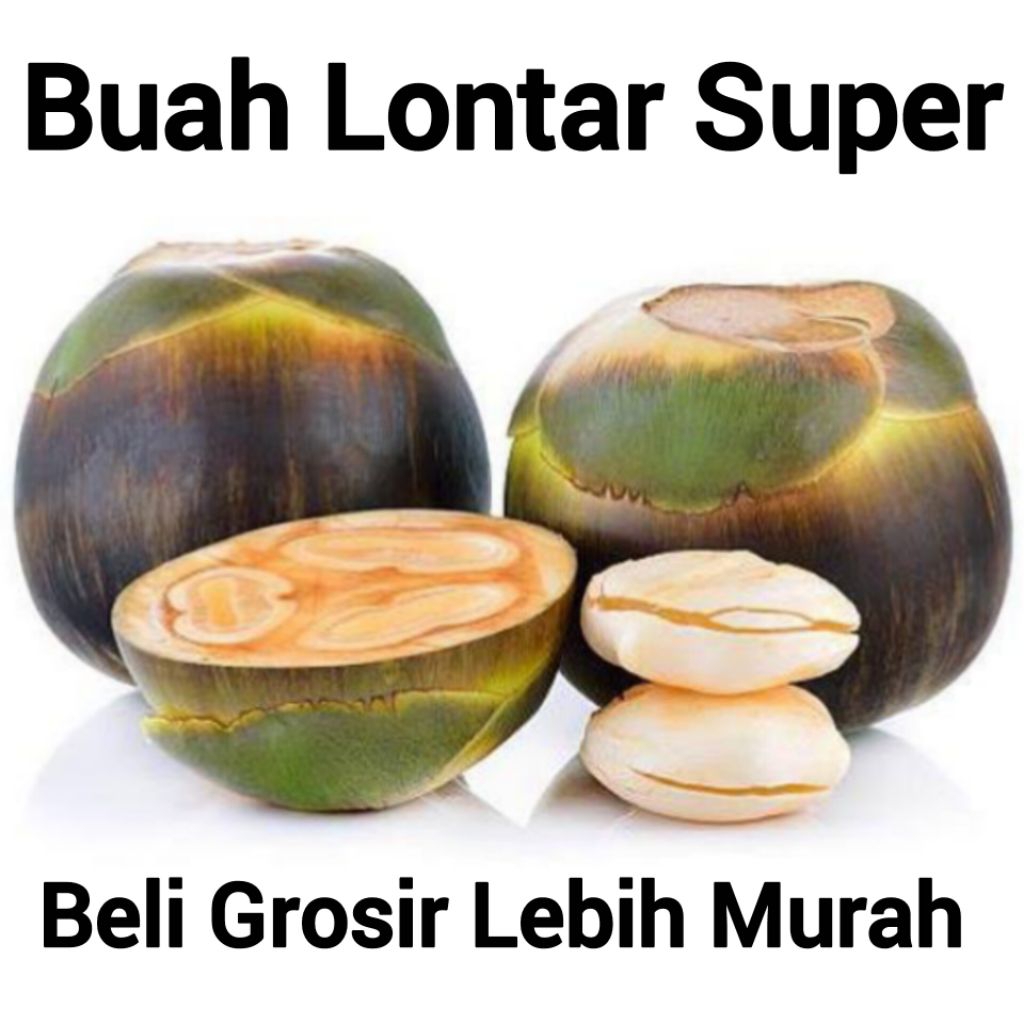 Jual Buah Lontar Siwalan Super 1 Buah isi 3 Asli Tuban | Shopee Indonesia