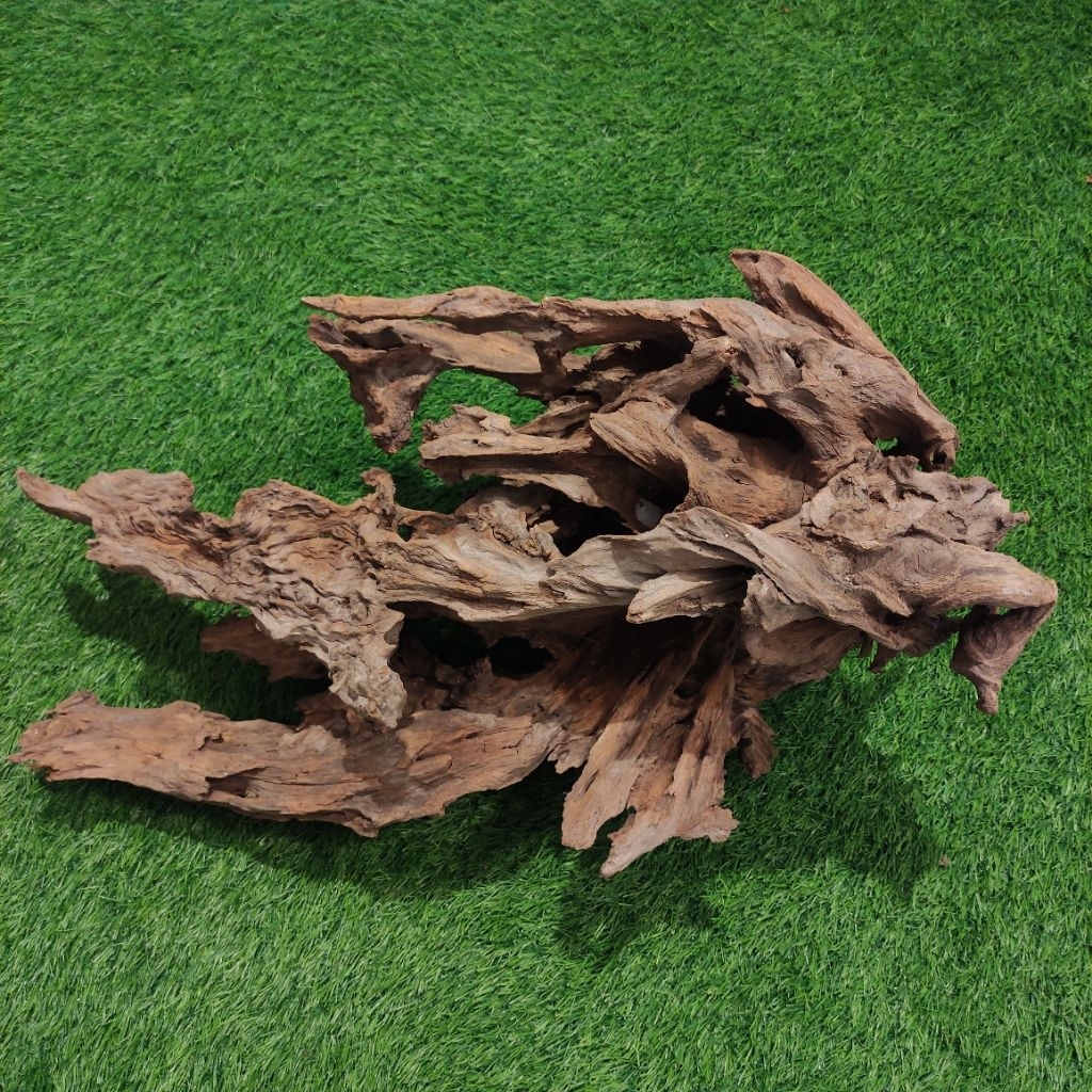 Jual Kayu Rentek Aquascape Paludarium Motif Unik | Shopee Indonesia