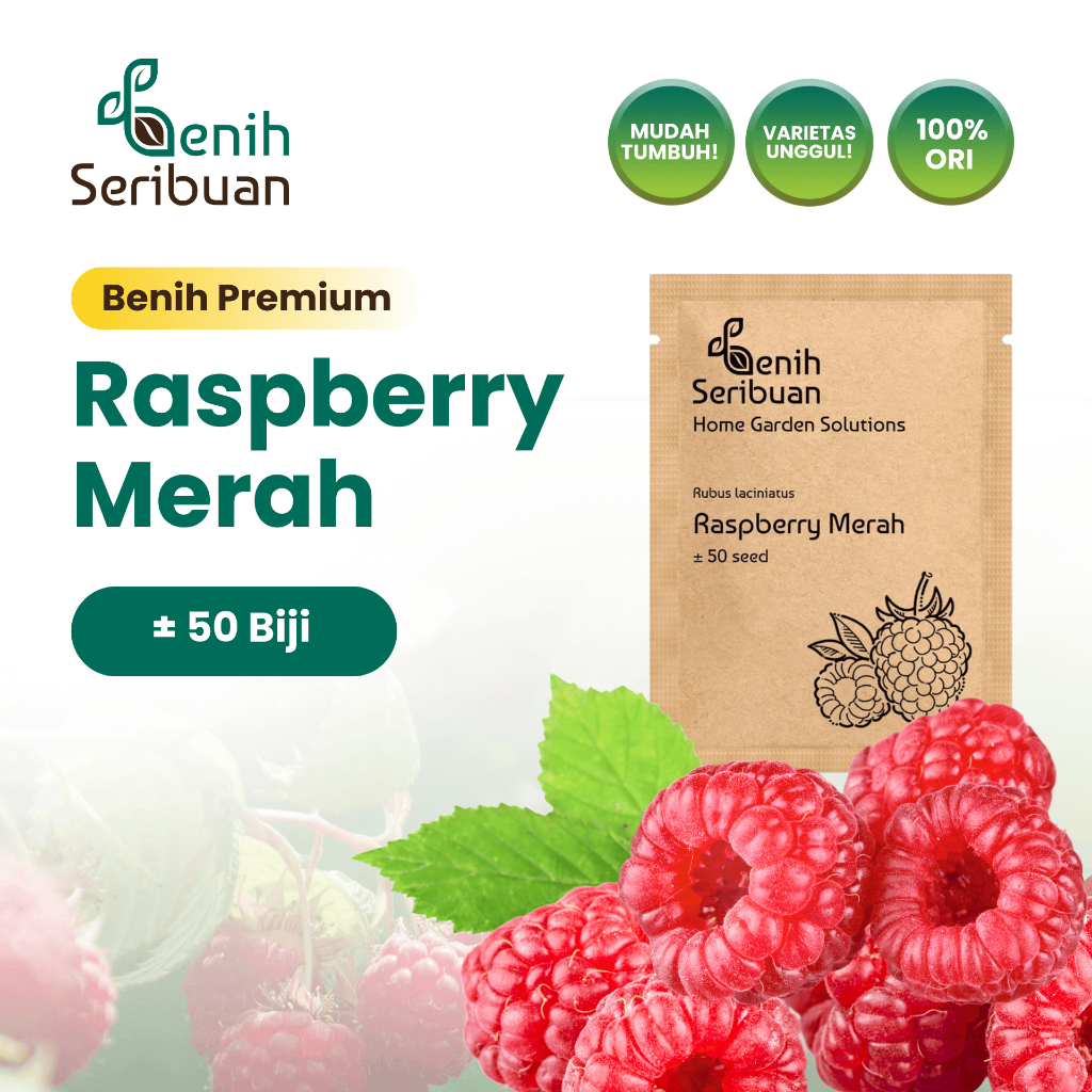 Jual Benih Seribuan - Benih Buah Raspberry Merah Unggul | Shopee Indonesia