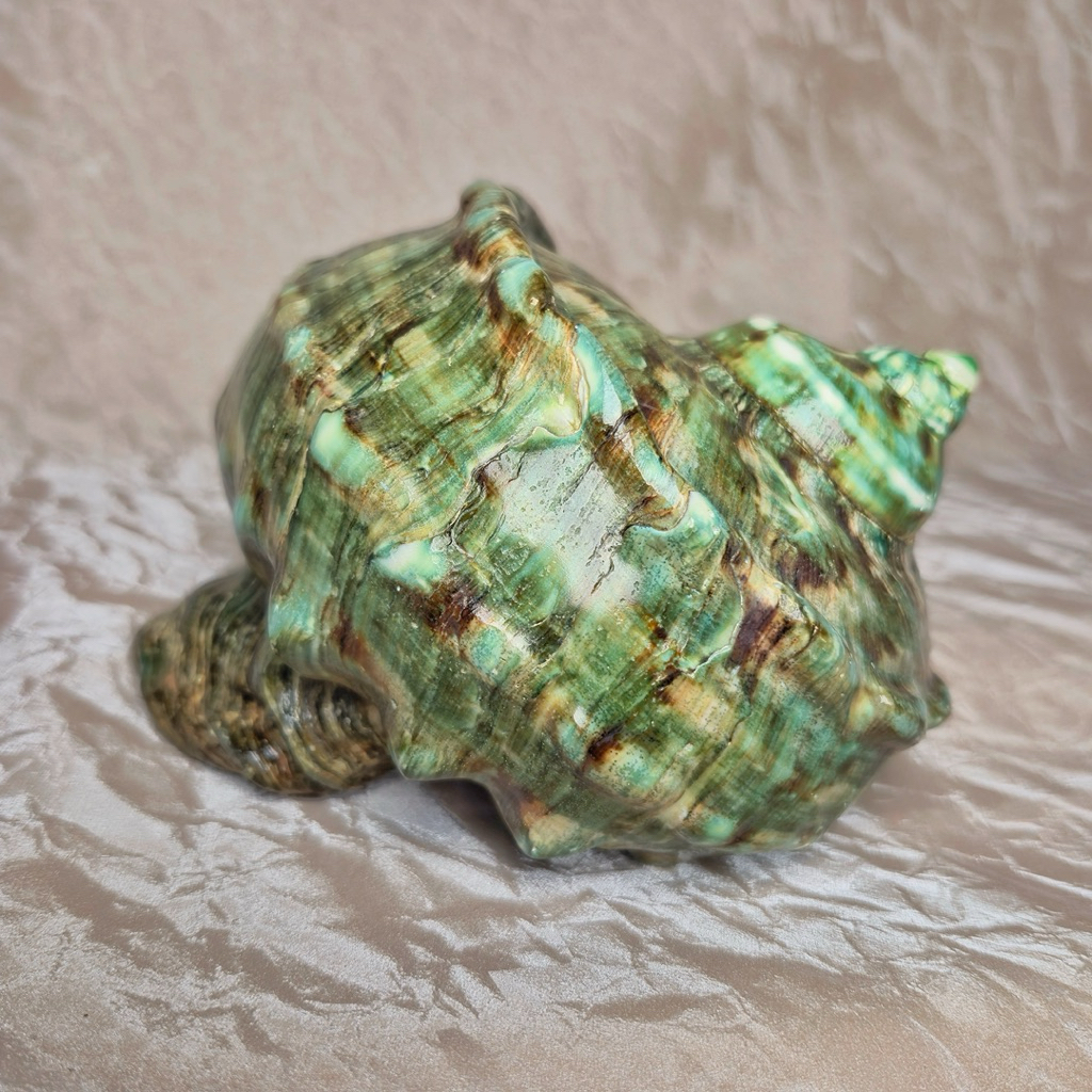 Jual Turbo Shell Sculpture Type C Kerang Turbo by Kharisma Kerang ...