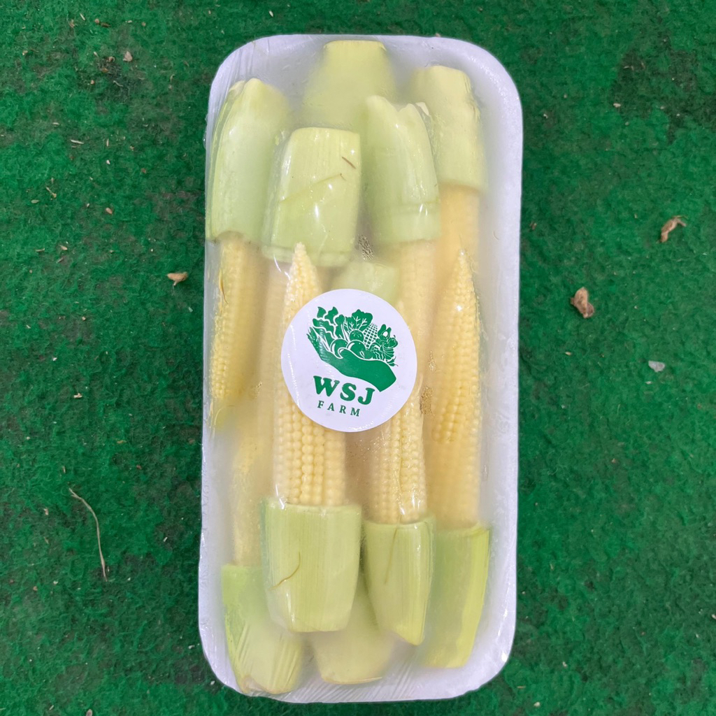 Jual BABY CORN JAGUNG MUDA 300 GRAM FRESH SEGAR SAYURAN HIDROPONIK ...