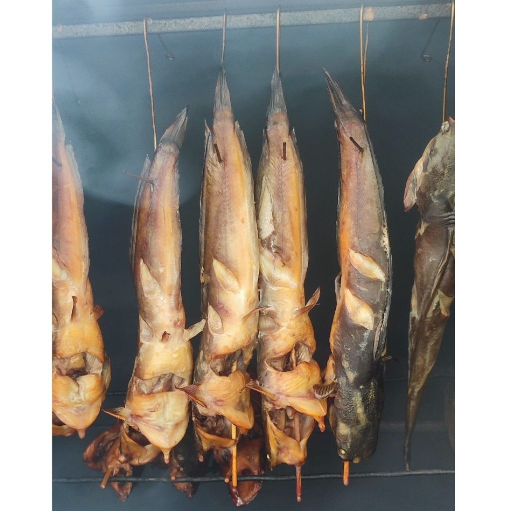 Jual ikan lele asap kemasan vacum 3 ekor | Shopee Indonesia