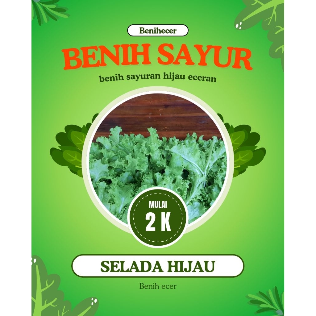 Jual Selada hijau / sayuran selada /selada lalap | Shopee Indonesia