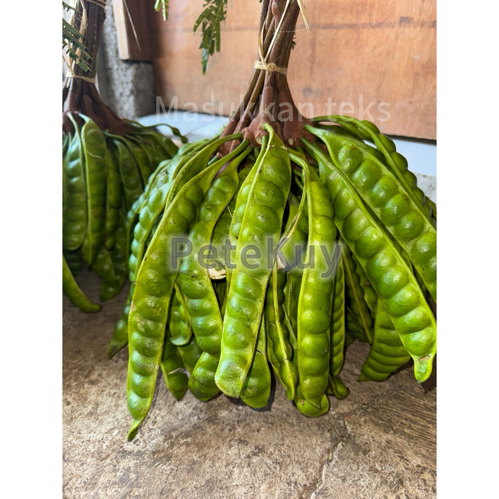 Jual PETE MINI ISI 15 PAPAN | Shopee Indonesia
