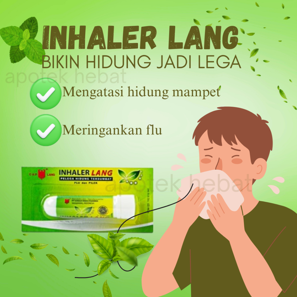 Jual Inhaler Lang Obat Pilek Obat Flu Inhaler Hidung Cap Lang Hidung ...