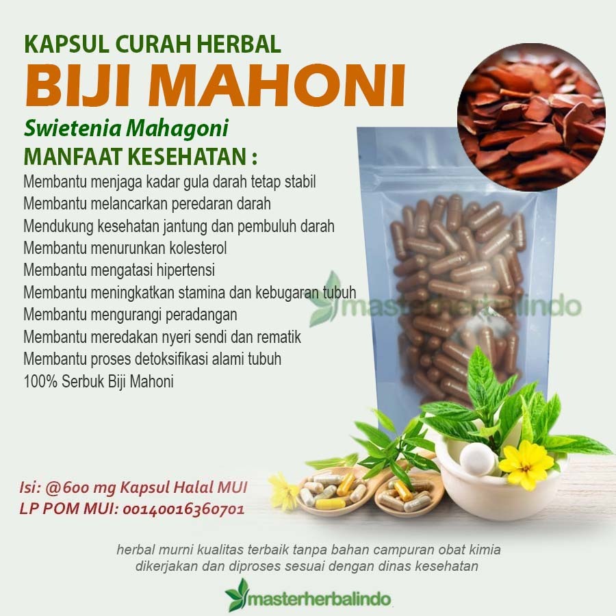 Jual BIJI MAHONI 100 Kapsul Herbal Menjaga Kesehatan Reproduksi Sendi ...