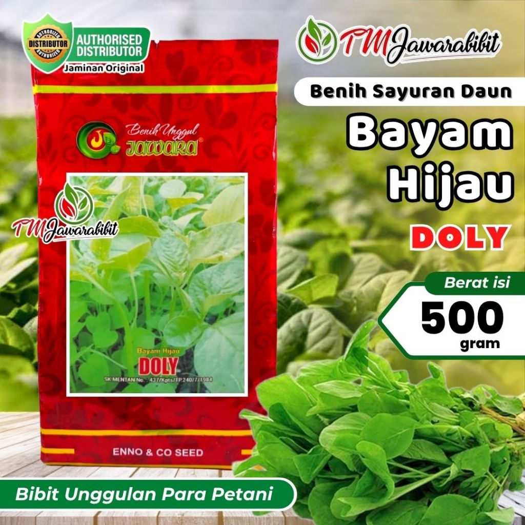 Jual ISI 500 Gram / Benih Bayam Hijau DOLY / Produk Asli JAWARA ...