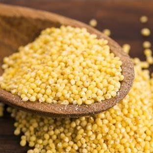 Jual MILLET KUPAS, BIJI JAWAK, JAWAWUT, SEKOI, JEWAWUT – PENGGANTI NASI ...