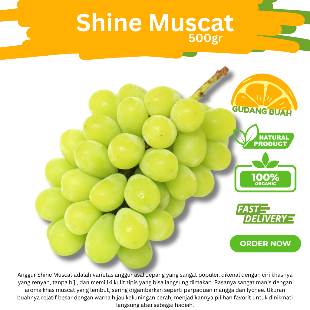 Jual Anggur Hijau Australia Super Import ANGGUR HIJAU MUSCAT 500gr ...