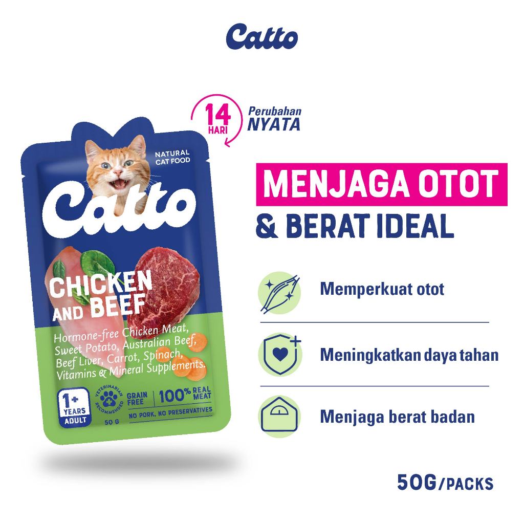 Toko Online Catto Official Store | Shopee Indonesia