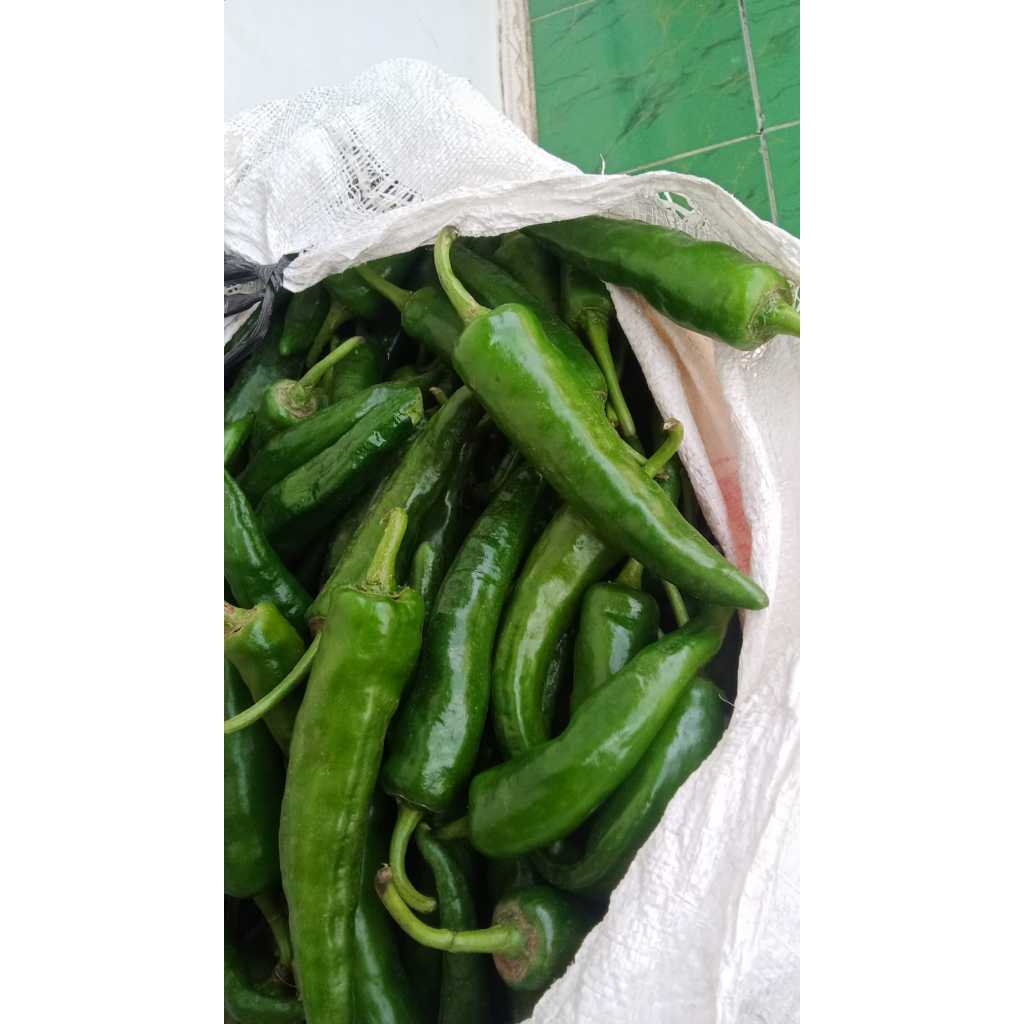 Jual CABE TANJUNG HIJAU fresh dadakan | Shopee Indonesia