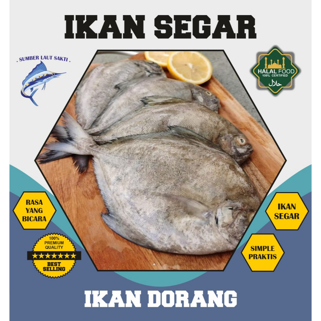 Jual IKAN DORANG BAWAL LAUT SEGAR 1 KG | Shopee Indonesia