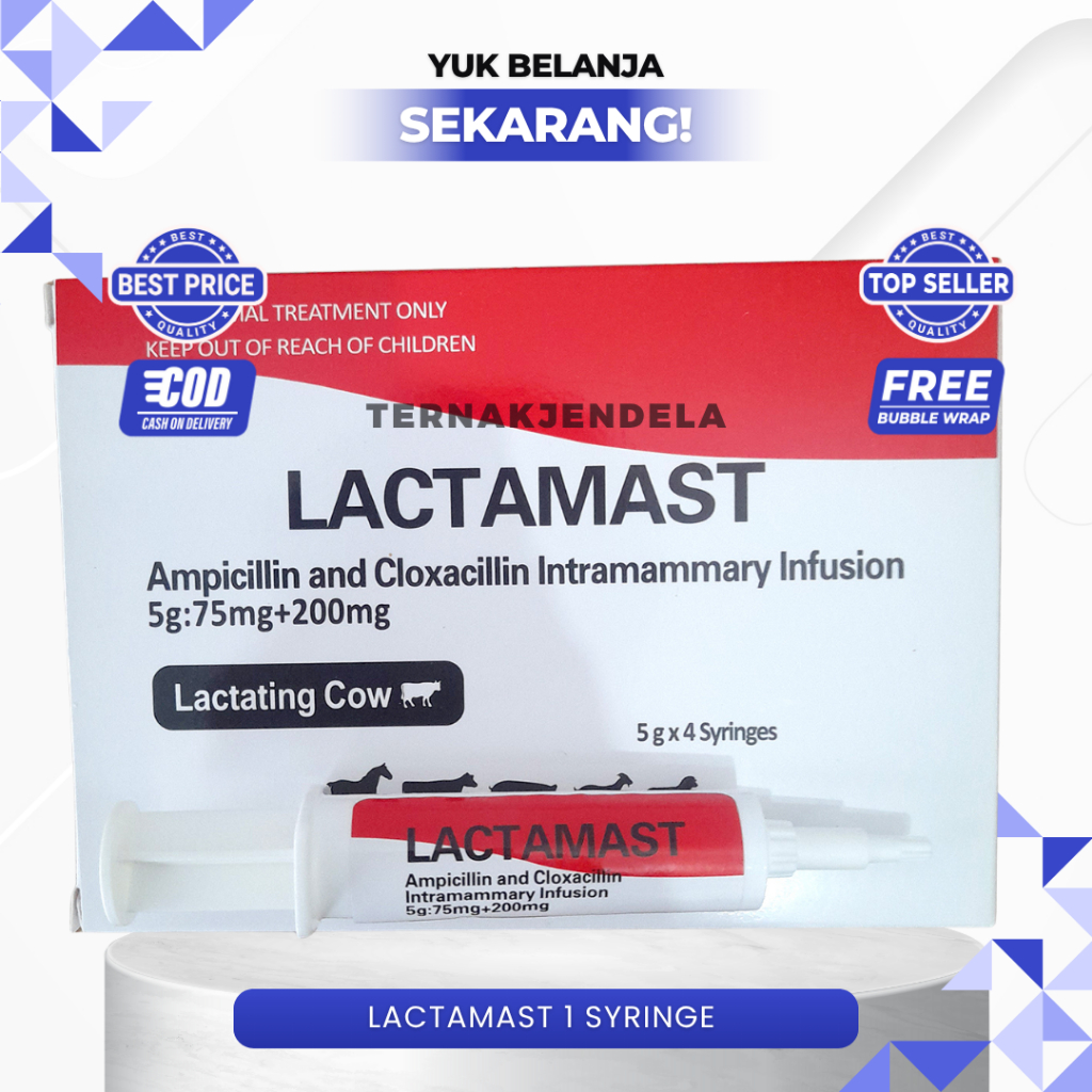 Jual Lactamast 1 Syringe - Antibiotik Intramammary untuk Pengobatan ...