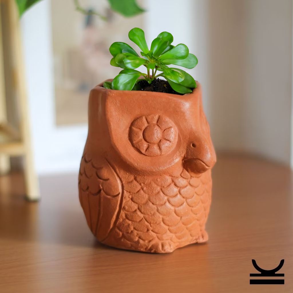 Jual (PC08) Pot Gerabah | Pot Terakota | Pot Tanah Liat | Pot Tanaman ...