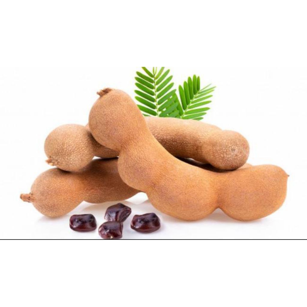 Jual Asam Jawa Asem Jawa kandis kupas | Shopee Indonesia