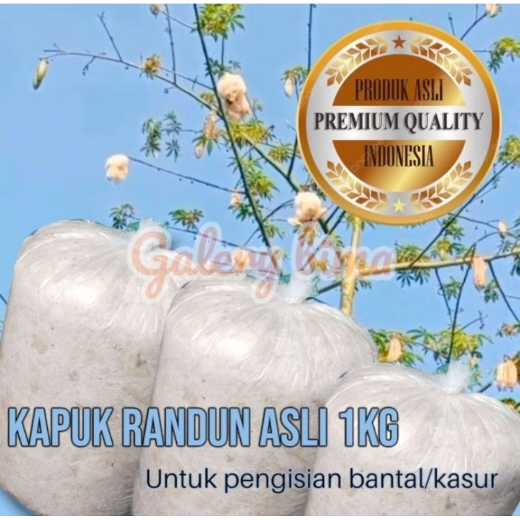 Jual KAPUK RANDU 1KG | KAPUK TANPA BIJI | KAPUK ISIAN BANTAL&KASUR ...