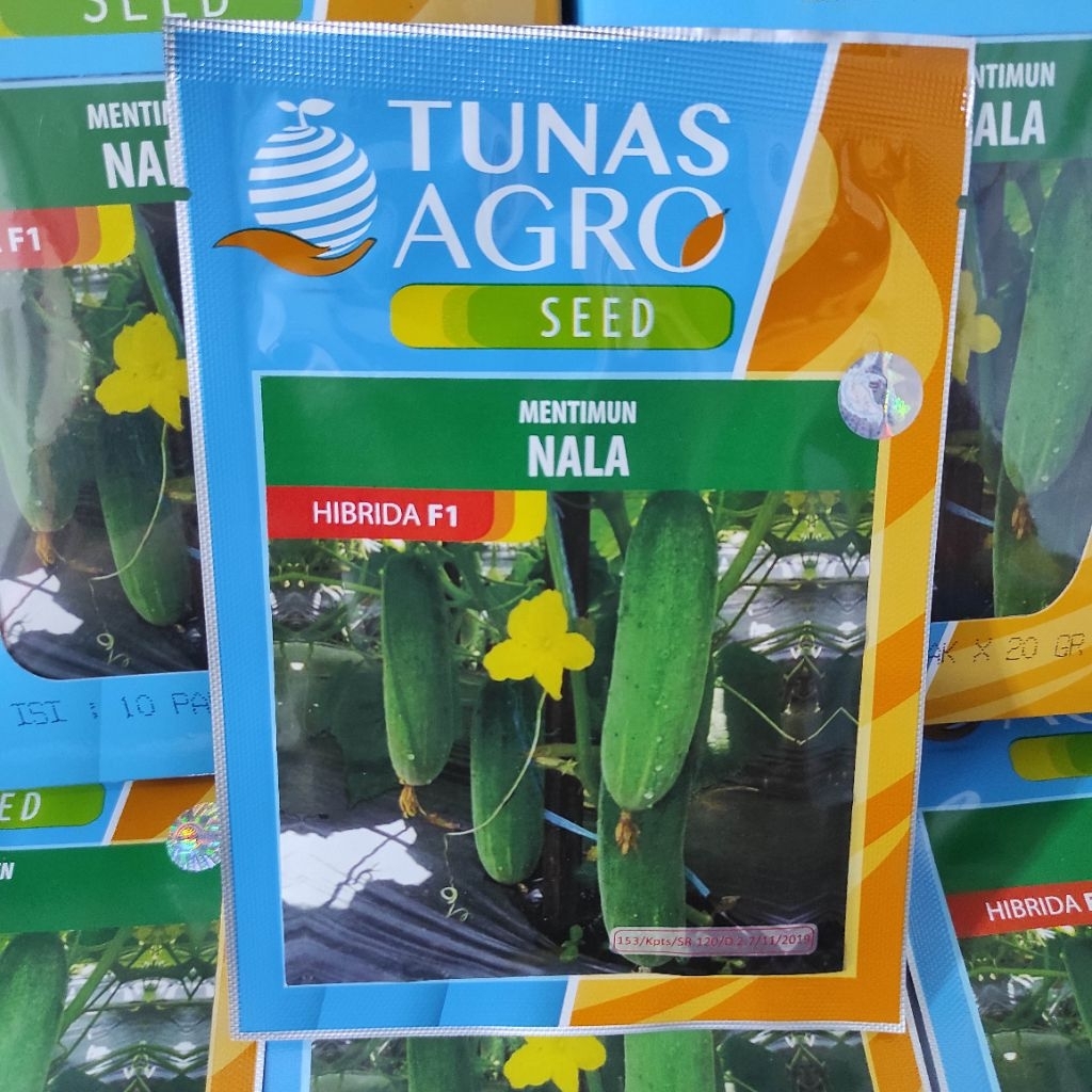 Jual Timun baby/tipe semi tunas agro nala 20gr F1 | Shopee Indonesia