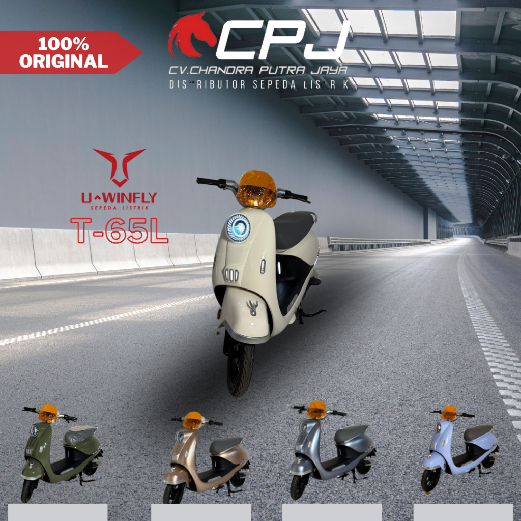 Jual Sepeda Listrik UWINFLY T65 Terbaru T-65 U-Winfly 600 Watt Baterai ...
