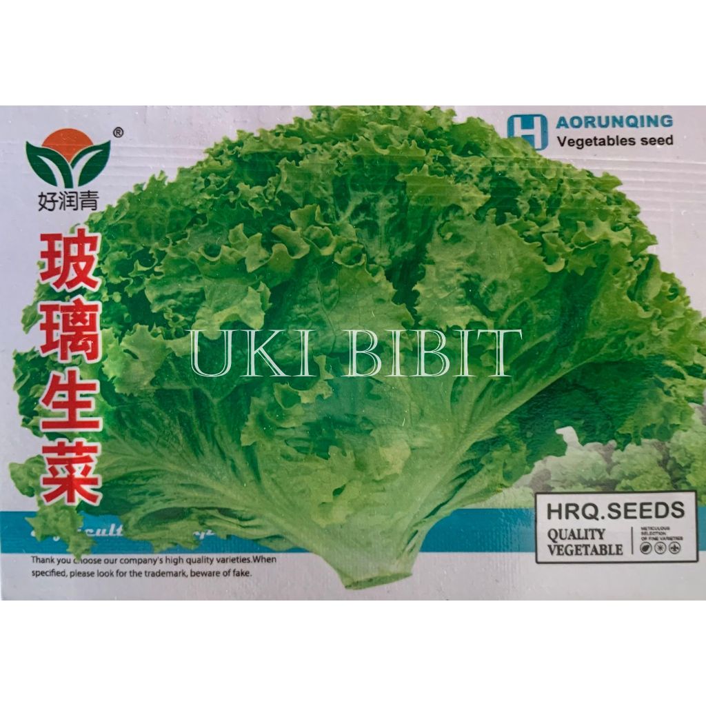 Jual Kemasan Mini | Benih Biji Sayur Selada Hijau | Selada Green Romain | Selada keriting ...