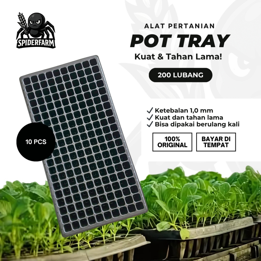 Jual Tray Semai 200 Lubang (Paket 10 pcs) – Tebal 1mm, Awet & Bisa ...