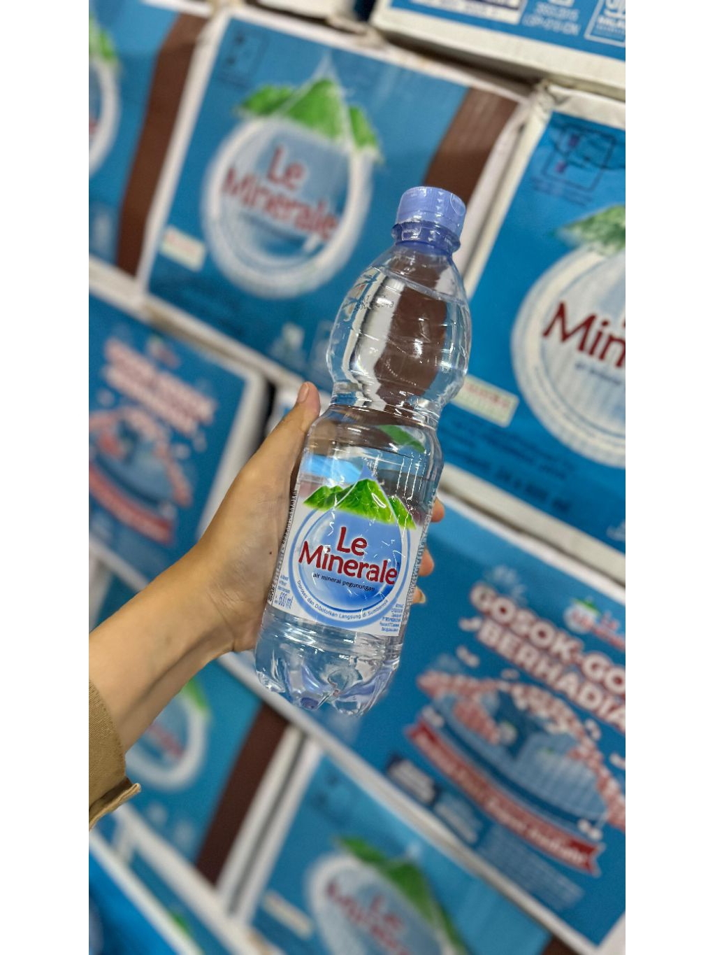 Jual Le mineral 600ml 1dus | Shopee Indonesia