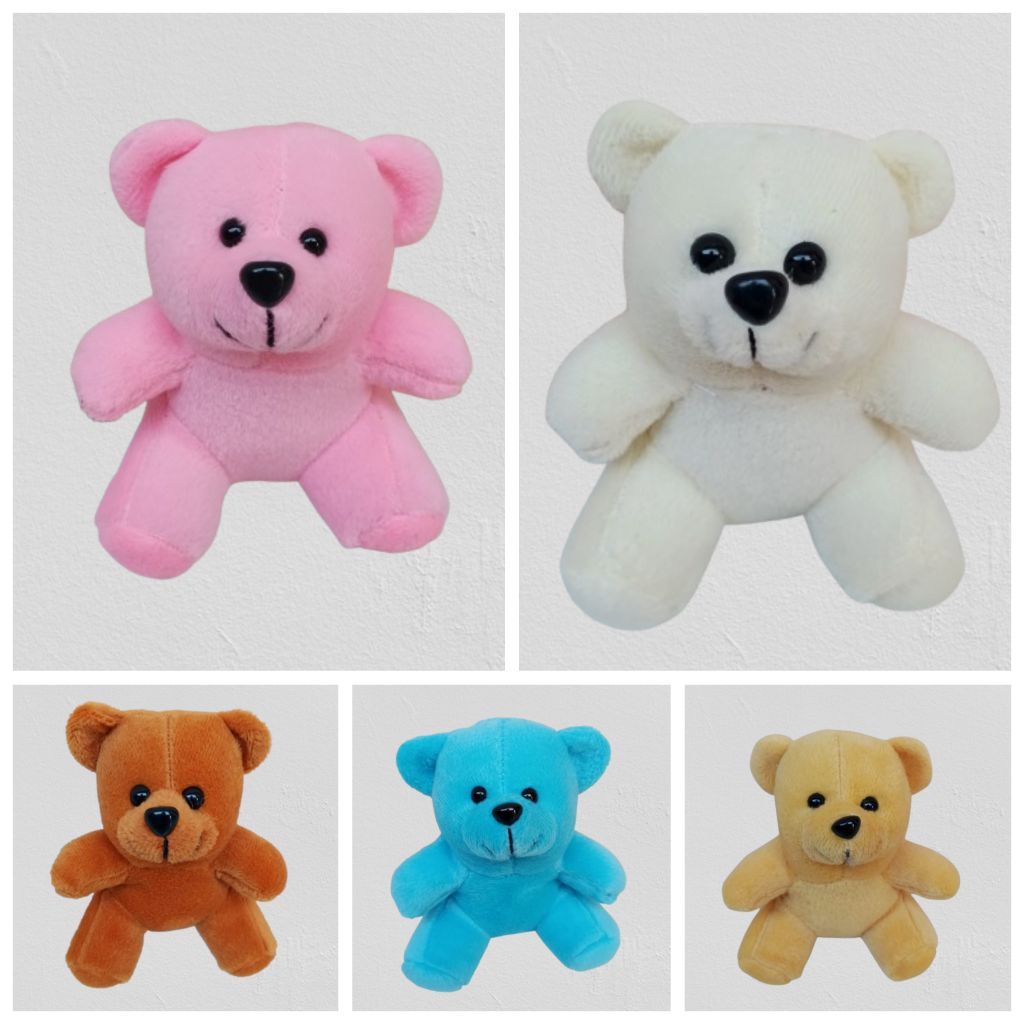 Jual spesial promo boneka bear polos,kombinasi ukuran 12 cm | Shopee ...