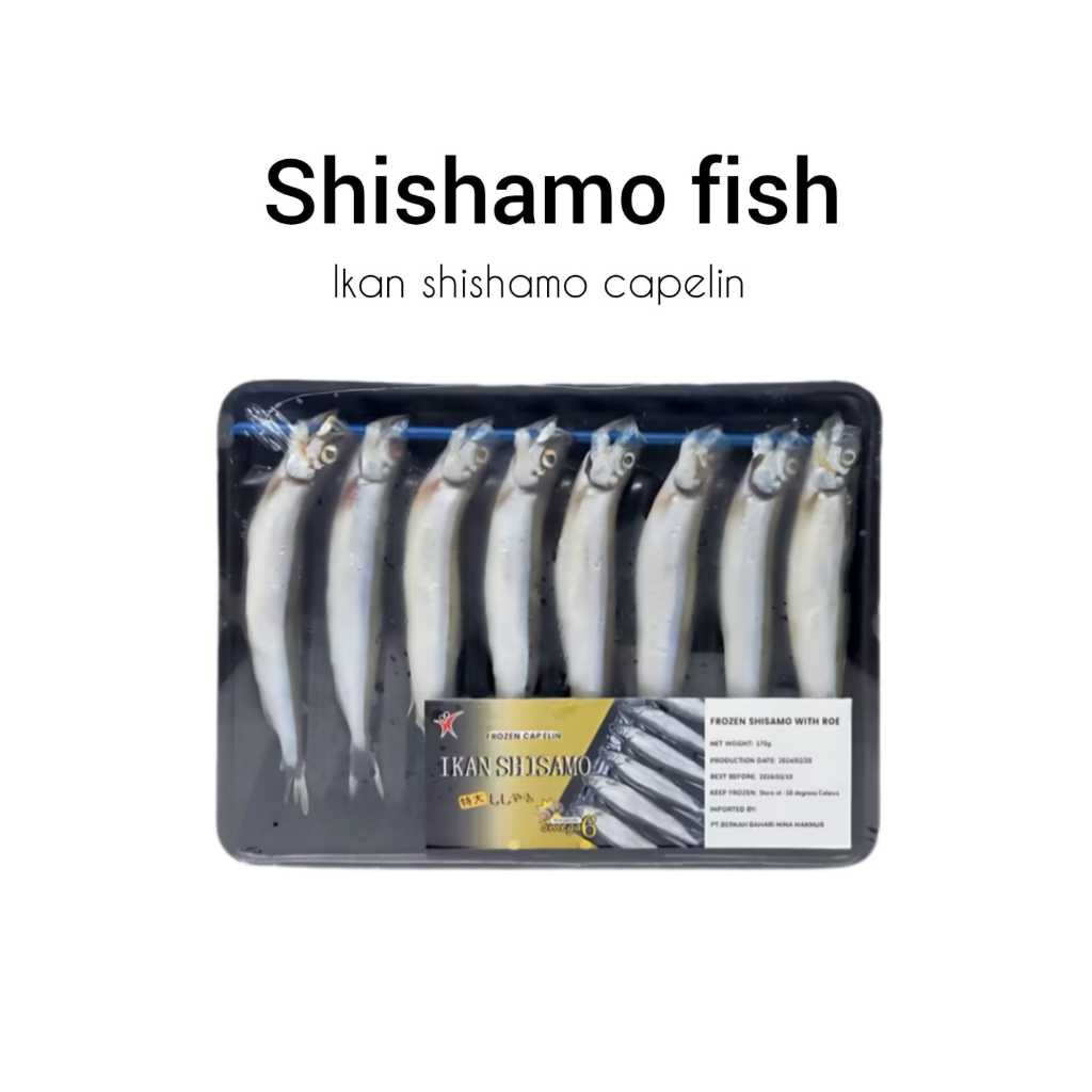 Jual Ikan Shisamo / Ikan Cipung / Capelin / Ikan telor - 170g ...