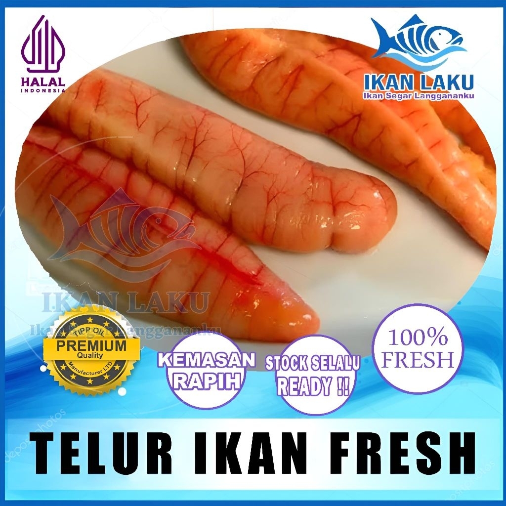 Jual PRODUK BARU!!! TELUR IKAN | TELOR IKAN PREMIUM FRESH TERMURAH ...