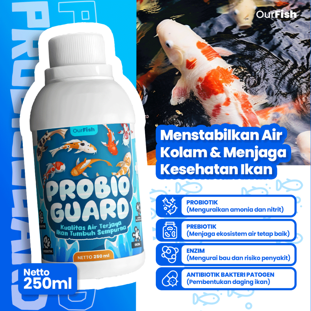 Jual Ourfish - Probiotik Penstabil air kolam, Bakteri Starter Kolam ...