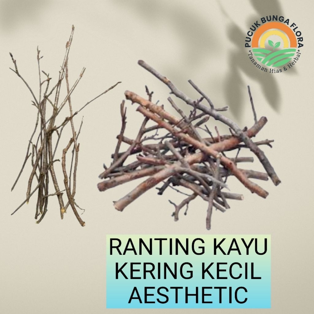 Jual ranting kayu kering kecil aesthetic isi 12pcs | Shopee Indonesia