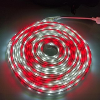 Jual Lampu LED Strip Merah-Putih Panjang 7 Meter + Adaptor | Shopee ...