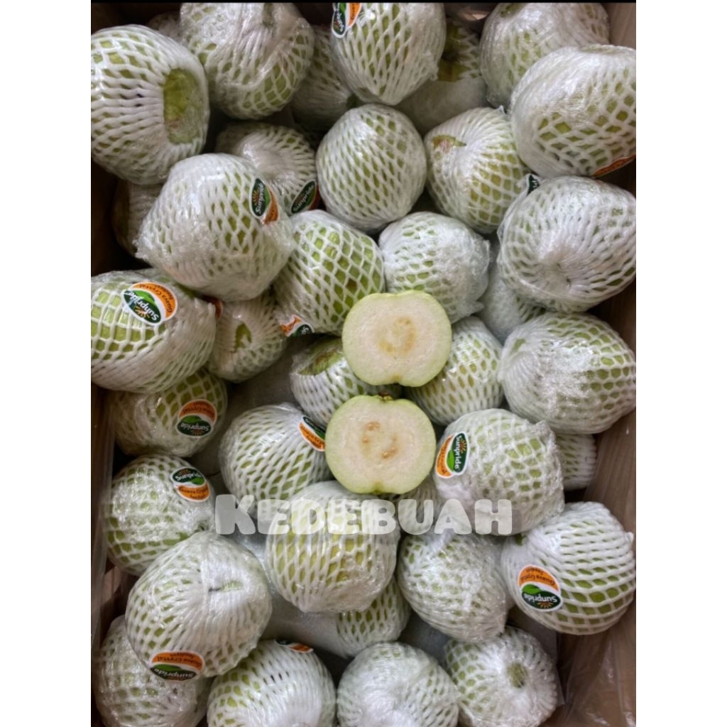 Jual Jambu Crystal Sunpride 1 Kg | Shopee Indonesia