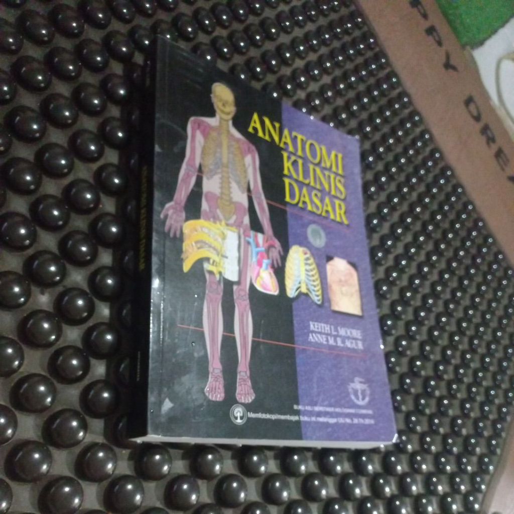 Jual Buku Anatomi Klinis Dasar Keith L Moore original | Shopee Indonesia