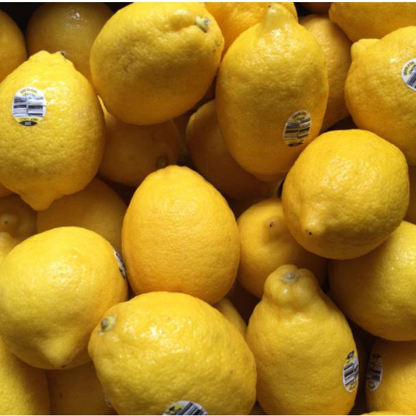 Jual Lemon Import Australia Segar - Lebih Banyak Air dan Menarik ...