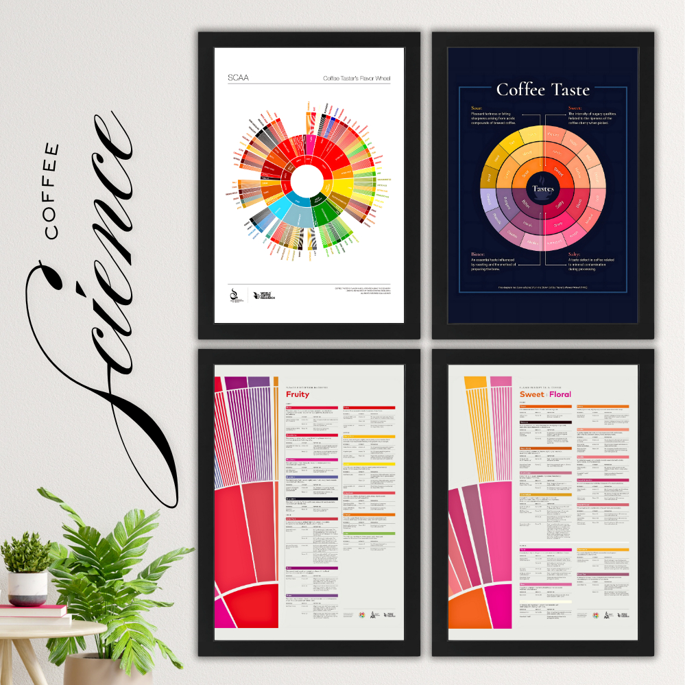 Jual Poster Kopi Roda Rasa SCA Paket Lengkap A2 - Untuk Barista Roaster ...