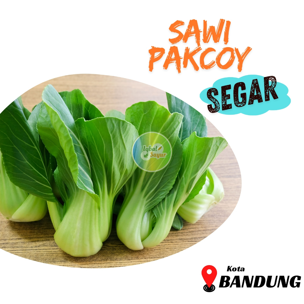 Jual Pakcoy Segar Murah Bandung | Shopee Indonesia