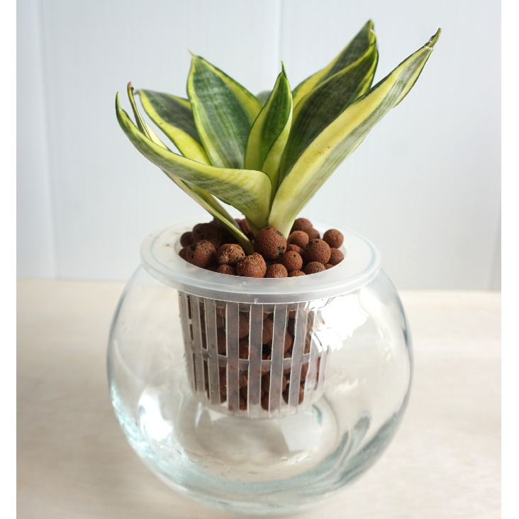 Jual Self Watering Pot Kaca/Vas Hidroponik Kaca/Vas Kaca Minimalis ...