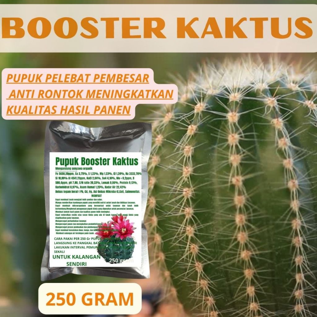 Jual MO Pupuk Booter Kaktus dan Sukulen 250 GR / Pupuk Kaktus Koboi ...