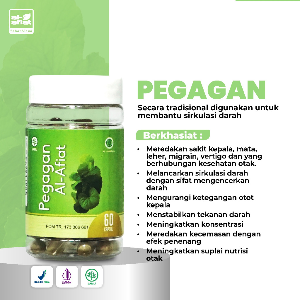 Jual Pegagan Al Afiat 60kapsul | Herbal Membantu Sirkulasi Darah ...