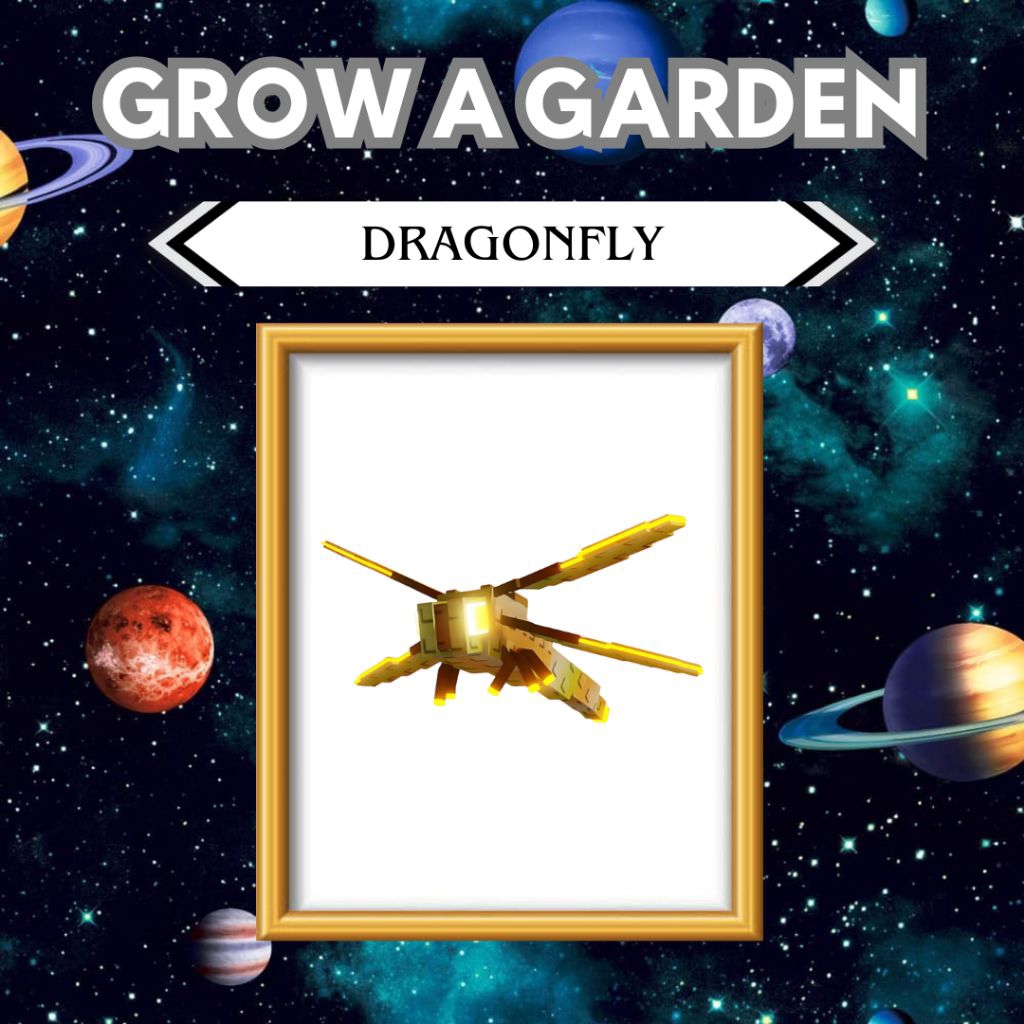 Jual DRAGONFLY GROW A GARDEN | Shopee Indonesia